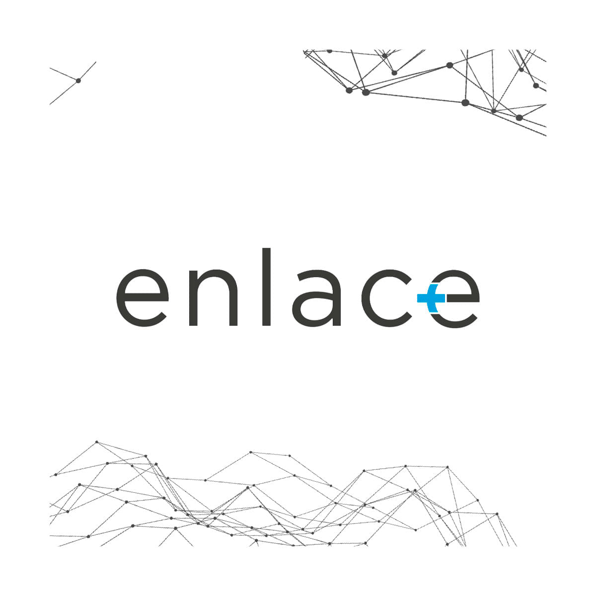 Programa de Profesionalización Empresarial Enlace