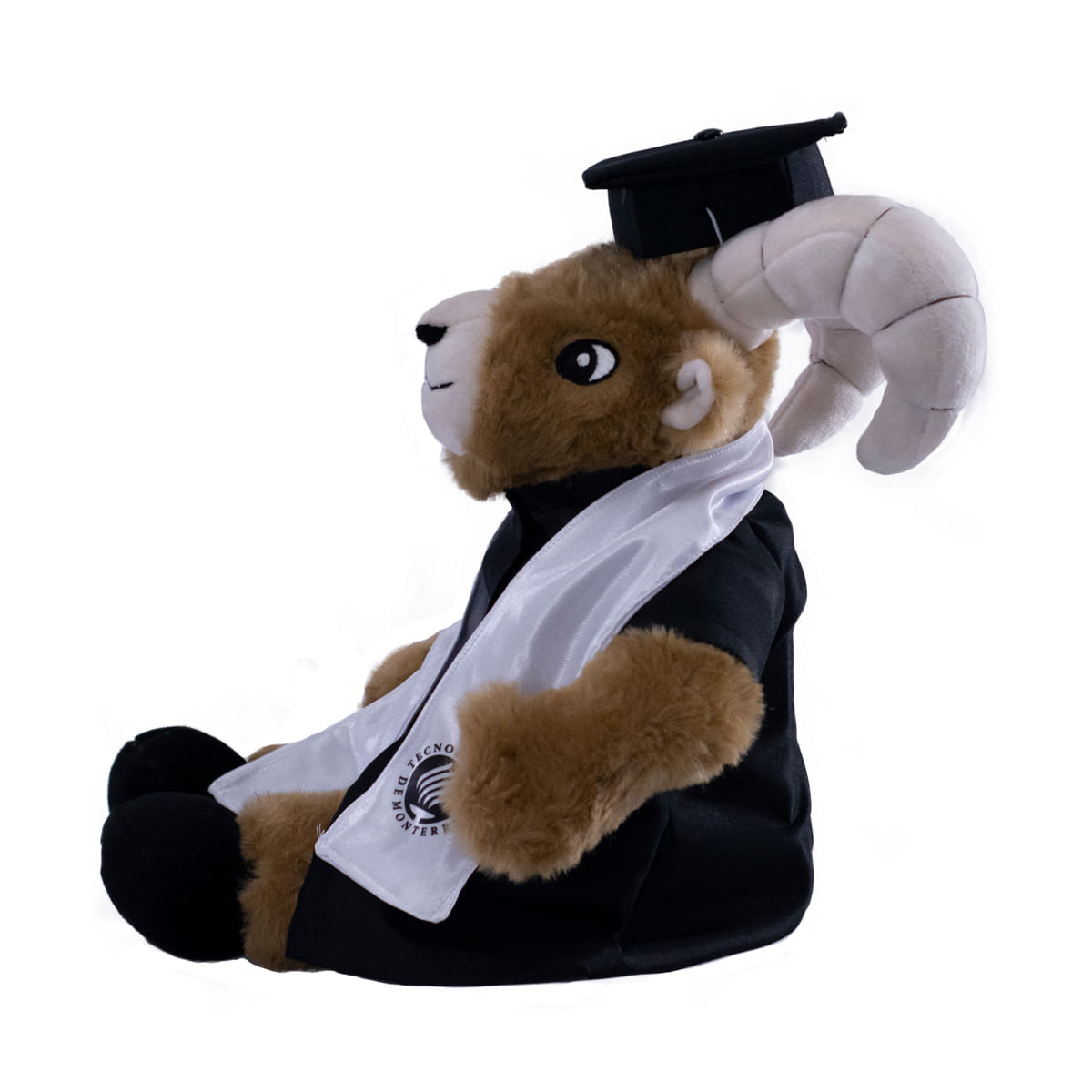 TEUS Graduado Prepa